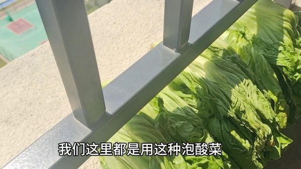 农村土酸菜怎么做_正宗土酸菜腌制方法-第2张图片-山城妙识