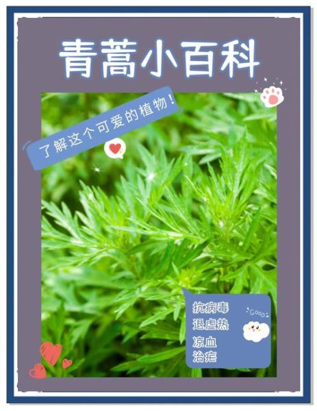 青蒿图片长什么样_青蒿的功效与作用有哪些-第1张图片-山城妙识