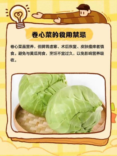 卷心菜热量高吗_卷心菜可以生吃吗-第1张图片-山城妙识