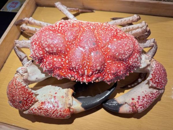 皇帝蟹和帝王蟹的区别_多少钱一斤-第2张图片-山城妙识 皇帝蟹和帝王蟹的区别_多少钱一斤-第2张图片-山城妙识