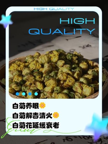 白菊花泡水喝的功效与禁忌_哪些人不能喝-第1张图片-山城妙识 白菊花泡水喝的功效与禁忌_哪些人不能喝-第1张图片-山城妙识