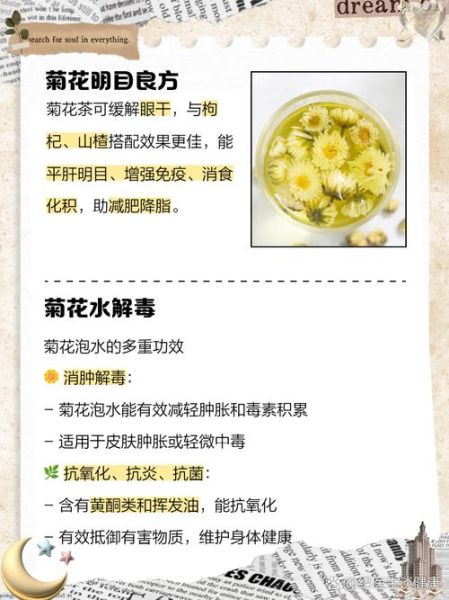 白菊花泡水喝的功效与禁忌_哪些人不能喝-第3张图片-山城妙识 白菊花泡水喝的功效与禁忌_哪些人不能喝-第3张图片-山城妙识