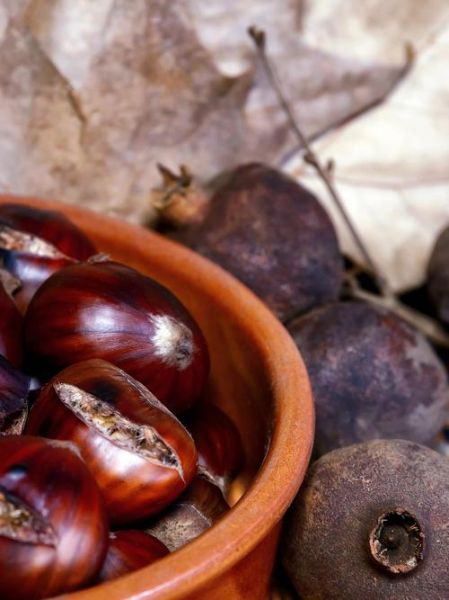 煮栗子多长时间_栗子煮多久才软糯-第1张图片-山城妙识