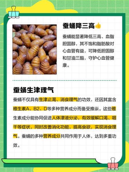 蚕蛹的营养价值_蚕蛹怎么吃最安全-第3张图片-山城妙识 蚕蛹的营养价值_蚕蛹怎么吃最安全-第3张图片-山城妙识