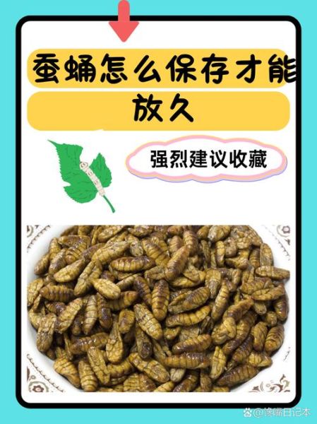 蚕蛹的营养价值_蚕蛹怎么吃最安全-第2张图片-山城妙识 蚕蛹的营养价值_蚕蛹怎么吃最安全-第2张图片-山城妙识