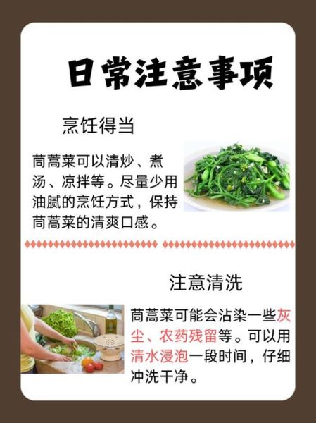 茼蒿的功效与作用_茼蒿怎么吃最营养-第1张图片-山城妙识