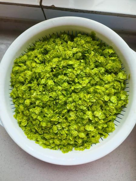 榆钱是什么_榆钱怎么吃-第1张图片-山城妙识 榆钱是什么_榆钱怎么吃-第1张图片-山城妙识