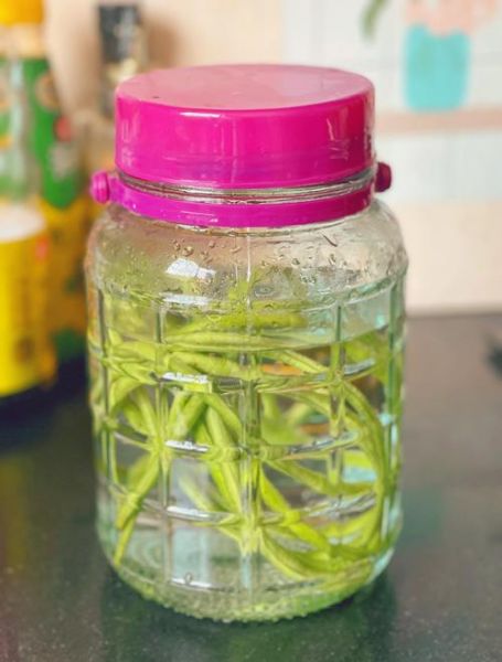 家庭自制泡豇豆的做法_泡豇豆怎么保存不烂-第1张图片-山城妙识