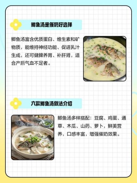 产妇鲫鱼汤炖多长时间_产后多久可以喝鲫鱼汤-第3张图片-山城妙识
