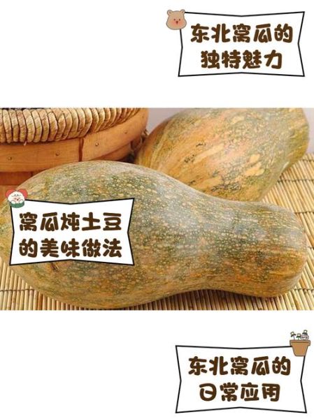 窝瓜和南瓜的区别图片_怎么区分窝瓜与南瓜-第2张图片-山城妙识
