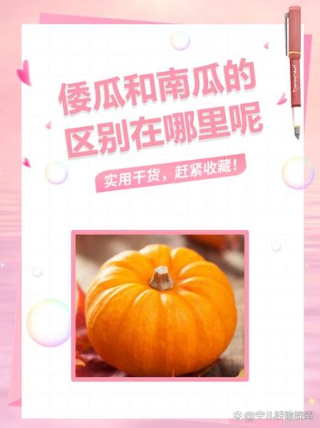 窝瓜和南瓜的区别图片_怎么区分窝瓜与南瓜-第1张图片-山城妙识