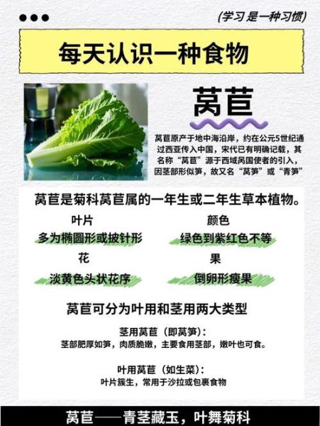 吃莴苣的禁忌有哪些_莴苣不能和什么一起吃-第3张图片-山城妙识