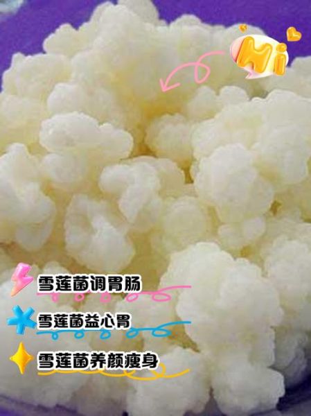 雪莲菌致癌是真的吗_长期饮用风险-第1张图片-山城妙识