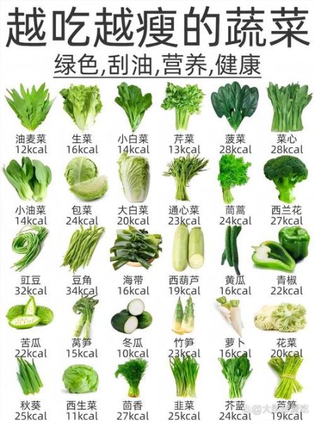 叶菜类蔬菜有哪些_叶菜类蔬菜图片及名称-第1张图片-山城妙识