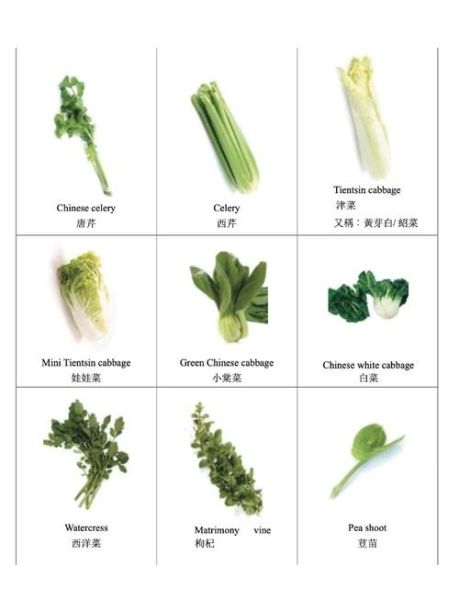 叶菜类蔬菜有哪些_叶菜类蔬菜图片及名称-第2张图片-山城妙识