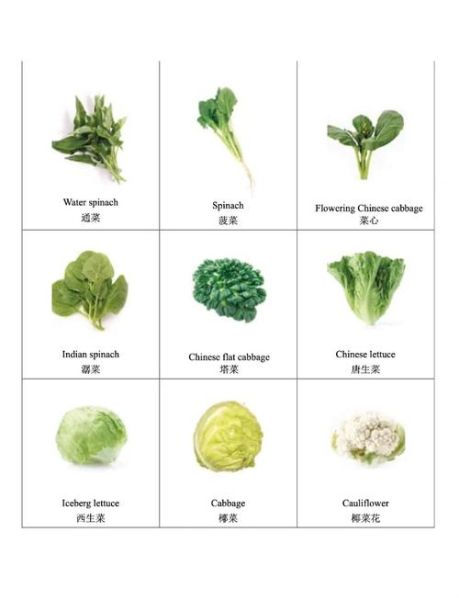 叶菜类蔬菜有哪些_叶菜类蔬菜图片及名称-第3张图片-山城妙识