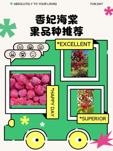 海棠果有几种_海棠果品种大全-第3张图片-山城妙识