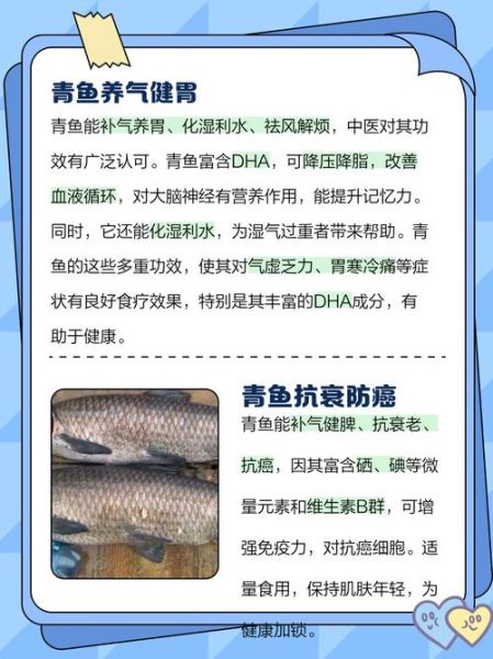青鱼的功效与作用_青鱼适合什么人吃-第2张图片-山城妙识