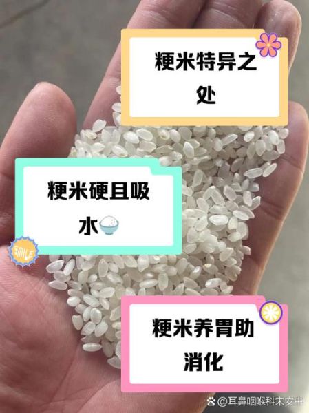 粳米和籼米哪个好吃_粳米与籼米口感区别-第1张图片-山城妙识