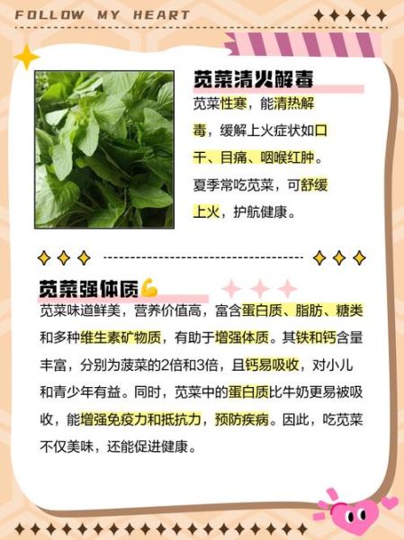 女人吃苋菜有什么好处_女人吃苋菜能补血吗-第2张图片-山城妙识