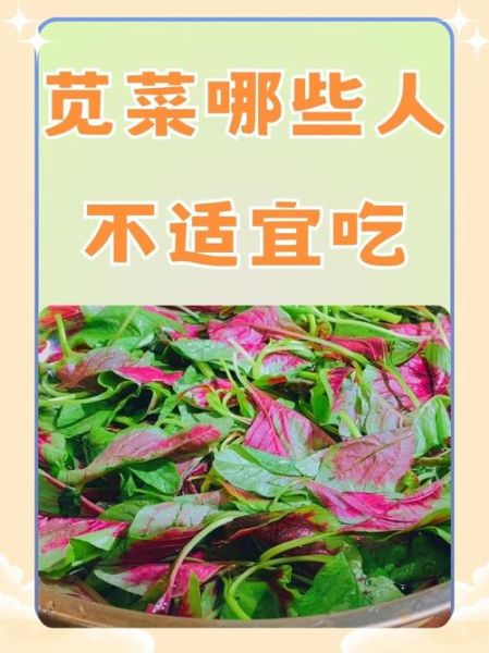 苋菜孕妇能吃吗_孕妇吃苋菜会滑胎吗-第2张图片-山城妙识