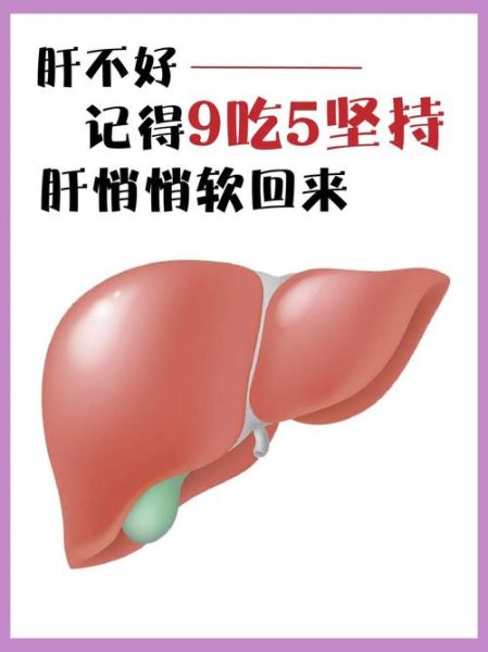 常吃燕麦对肝脏好吗_肝不好能吃燕麦吗-第1张图片-山城妙识