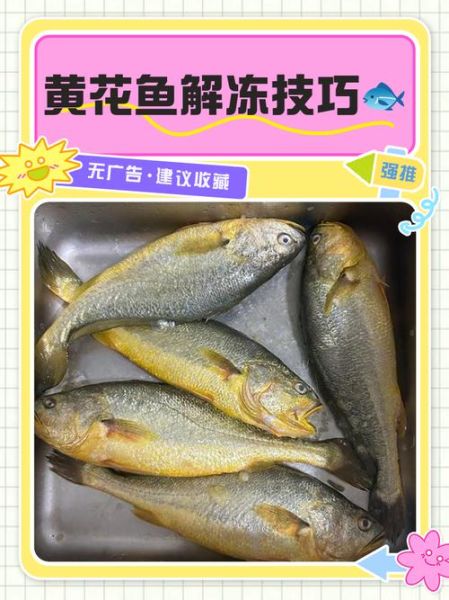 黄花鱼怎么处理干净_黄花鱼去内脏技巧-第1张图片-山城妙识