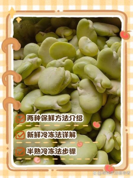 新鲜蚕豆怎么保存_蚕豆怎么做好吃-第1张图片-山城妙识