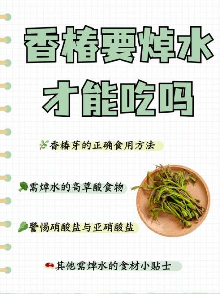 吃香椿的禁忌_吃香椿要注意什么-第1张图片-山城妙识