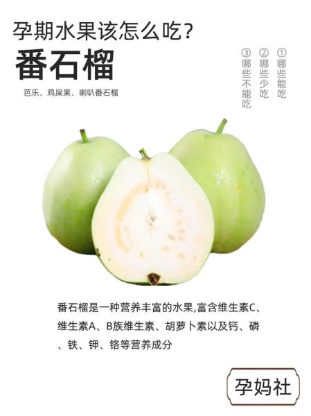 芭乐怎么吃_番石榴的正确吃法-第2张图片-山城妙识