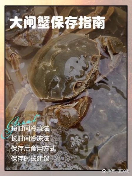 活大闸蟹怎么保存最新鲜_活蟹能放几天不死-第3张图片-山城妙识 活大闸蟹怎么保存最新鲜_活蟹能放几天不死-第3张图片-山城妙识