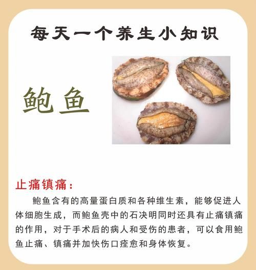 新鲜鲍鱼怎么处理干净_鲍鱼内脏怎么去除-第2张图片-山城妙识 新鲜鲍鱼怎么处理干净_鲍鱼内脏怎么去除-第2张图片-山城妙识