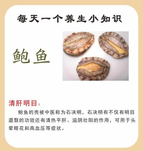 新鲜鲍鱼怎么处理干净_鲍鱼内脏怎么去除-第3张图片-山城妙识 新鲜鲍鱼怎么处理干净_鲍鱼内脏怎么去除-第3张图片-山城妙识