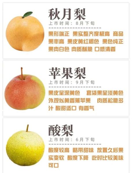 梨的种类有哪些_常见梨品种名称大全-第2张图片-山城妙识