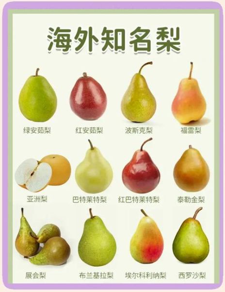 梨的种类有哪些_常见梨品种名称大全-第1张图片-山城妙识