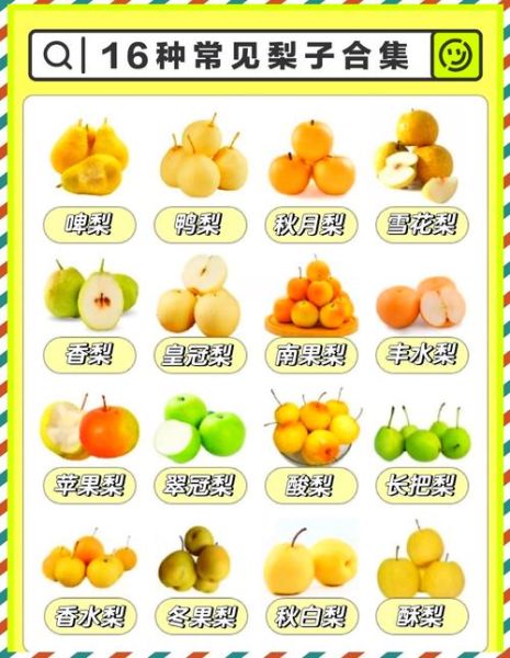 梨的种类有哪些_常见梨品种名称大全-第3张图片-山城妙识