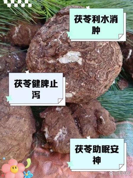 茯苓的功效与作用及禁忌是什么_茯苓怎么吃才安全-第2张图片-山城妙识