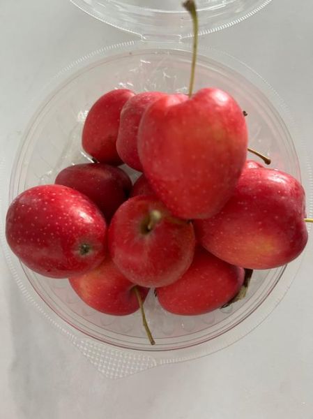 鸡心果是什么水果_鸡心果好吃吗-第2张图片-山城妙识 鸡心果是什么水果_鸡心果好吃吗-第2张图片-山城妙识