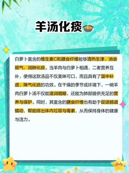 羊肉炖白萝卜的功效与作用_适合哪些人吃-第3张图片-山城妙识