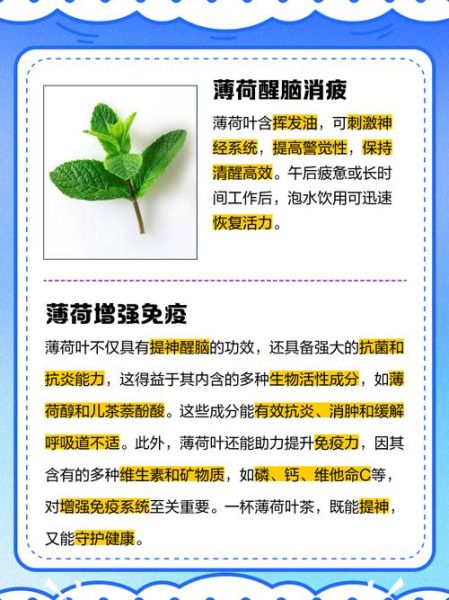 薄荷叶怎么泡水_薄荷叶泡水正确方法-第2张图片-山城妙识