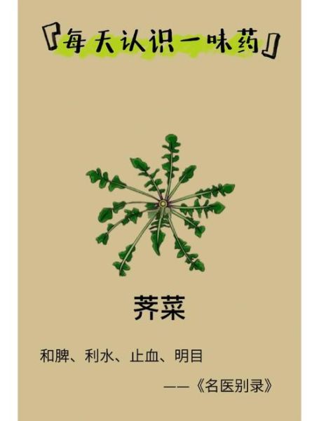 荠菜不能和什么一起吃_荠菜和哪些食物搭配最好-第3张图片-山城妙识