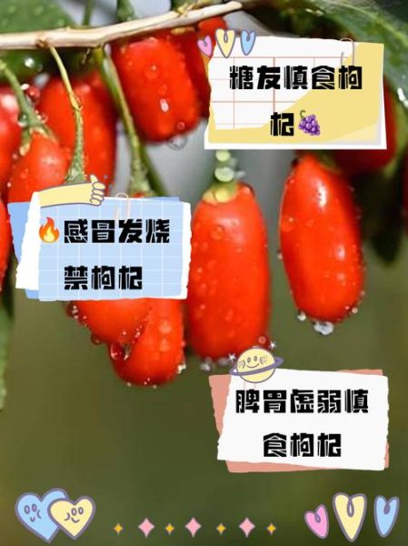 枸杞三种人不能吃_哪些人不能吃枸杞-第1张图片-山城妙识