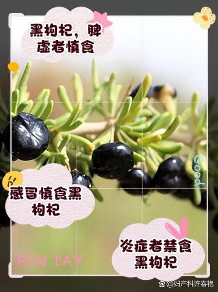 枸杞三种人不能吃_哪些人不能吃枸杞-第3张图片-山城妙识