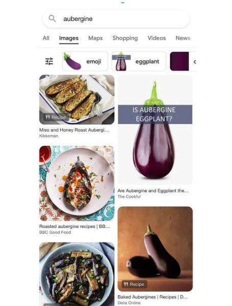 茄子用英语怎么说_eggplant和aubergine区别-第1张图片-山城妙识