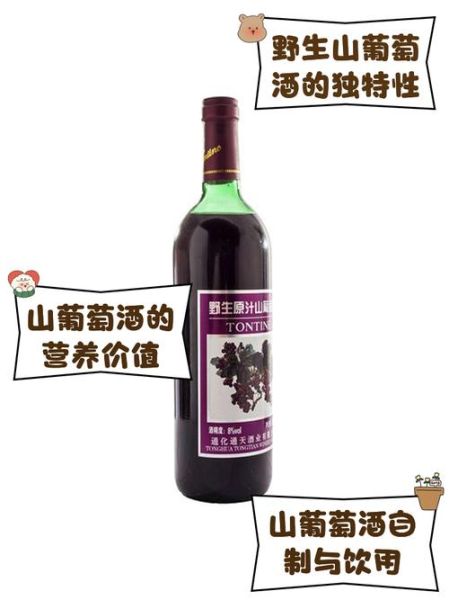 野葡萄酒的功效与作用_野葡萄酒能每天喝吗-第1张图片-山城妙识