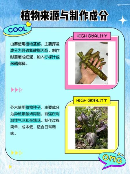 山葵和芥末的区别_山葵和芥末哪个更辣-第1张图片-山城妙识 山葵和芥末的区别_山葵和芥末哪个更辣-第1张图片-山城妙识