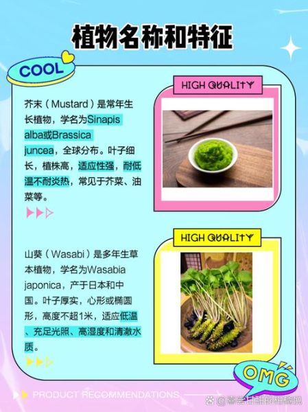 山葵和芥末的区别_山葵和芥末哪个更辣-第2张图片-山城妙识 山葵和芥末的区别_山葵和芥末哪个更辣-第2张图片-山城妙识