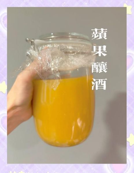 苹果酒酿制方法_家庭自酿苹果酒步骤-第3张图片-山城妙识