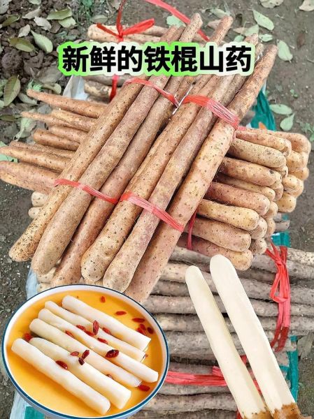山药长什么样子_山药图片特征-第2张图片-山城妙识