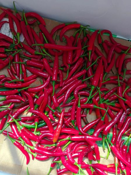 纯手工辣椒酱怎么做_保存多久不会坏-第3张图片-山城妙识